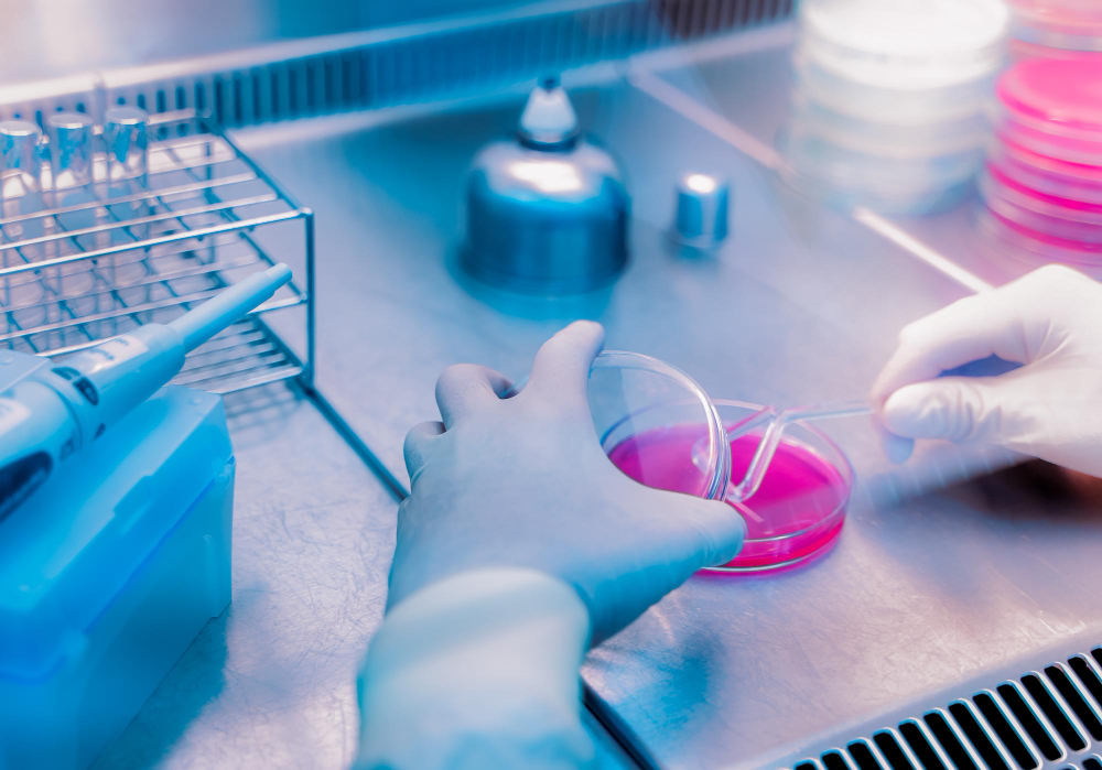 Pig DNA Tests, Pork DNA Analysis