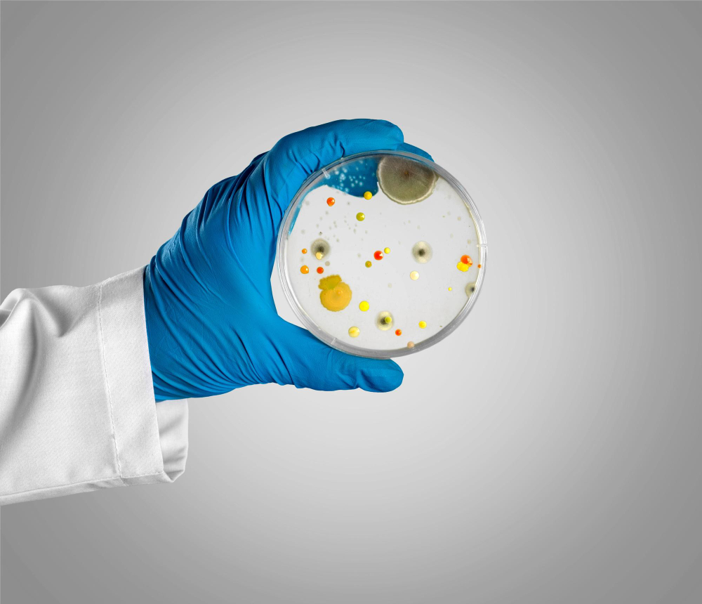 Effect of Disinfectant on Bacteria